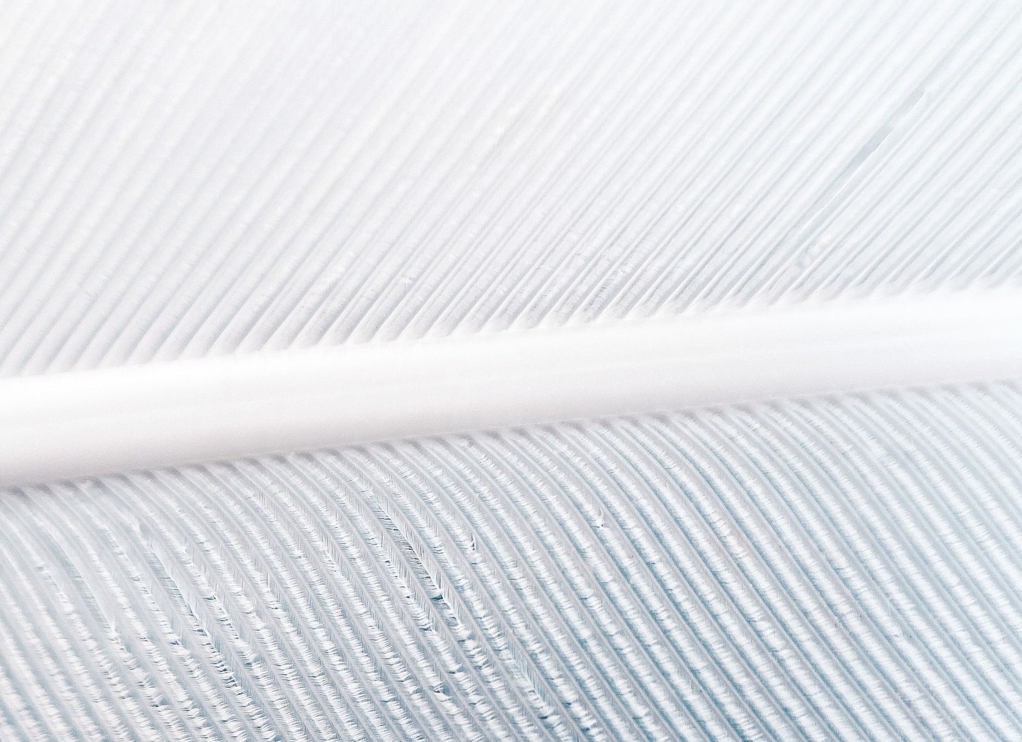 Path of Least Resistance: Hosting Shiny Apps on Shinyapps.io